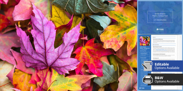 Unseen Poetry Comparison GCSE | Lesson 1 | Beyond English