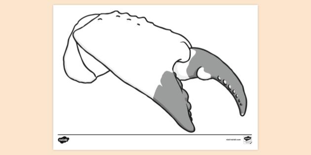 FREE! - Crab Claw Colouring Sheet | Colouring Sheets