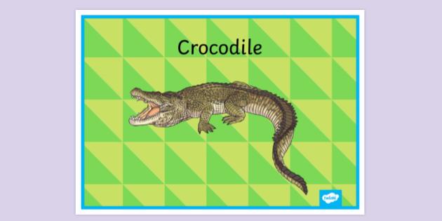 FREE! - Crocodile Poster | Display Poster | Primary Resources