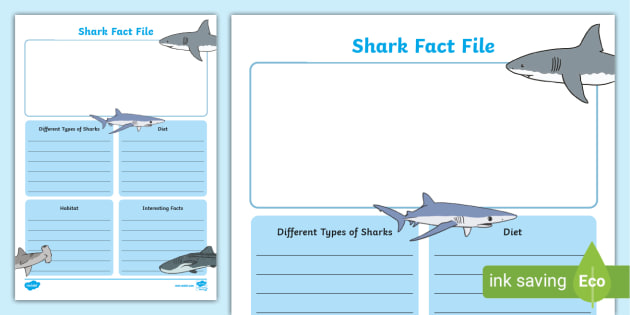 Shark Fact File Template (teacher made)