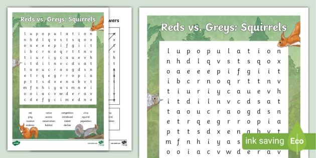 Reds vs. Greys: Squirrel Word Search (Teacher-Made)