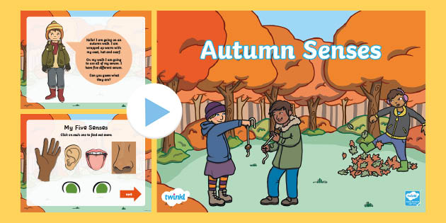 EYFS Autumn Senses PowerPoint (teacher made)