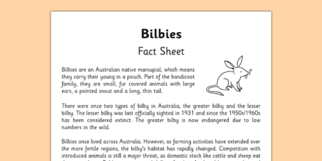 Bilbies Fact Sheet - australia, bilby, bilbies, Australian