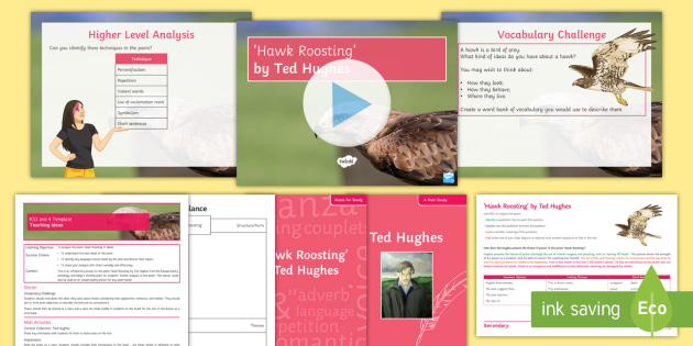 GCSE Poetry Lesson Pack - 'Hawk Roosting' by Ted Hughes