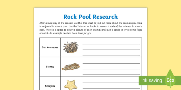 Rock Pool Habitat Worksheet | Science | Primary Resources