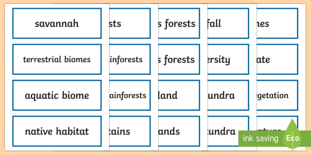 Year 4 AC Geography Environments Word Cards (teacher made)