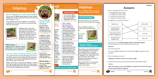 Reading Comprehension Activities | twinkl.co.uk
