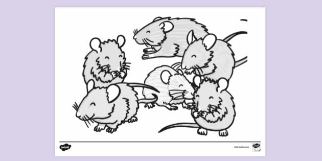 FREE! - Mice and Mouse Colouring Sheet | KS1 Resources | Twinkl