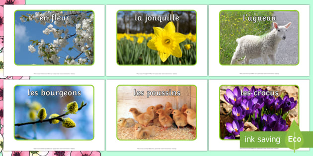 Photos de printemps Spring Display Photos French