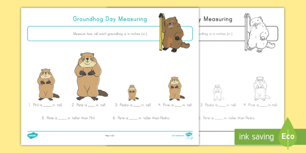 Groundhog Day Measuring and Estimating Activity