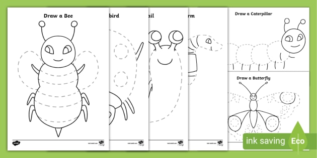 EYFS Draw a Minibeast Pencil Control Activity Pack