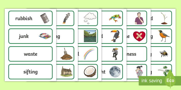 Word Cards to Support Teaching of The Tin Forest