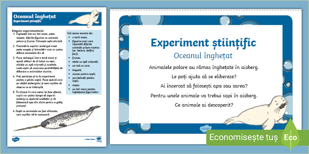 Experiment științific: Oceanul înghețat – Instrucțiuni