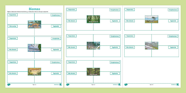 Hoja De Trabajo Para Colorear De Biomas