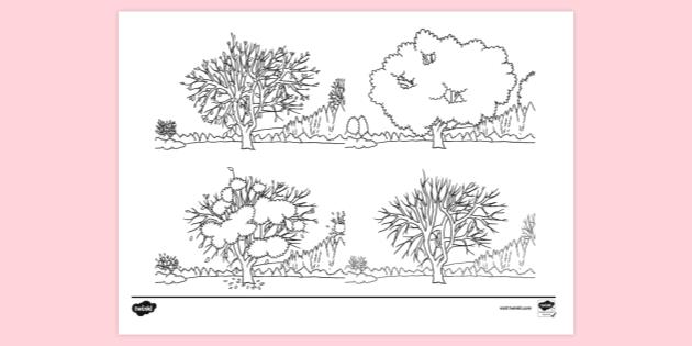 FREE! - Pictogram of Favourite Seasons Colouring Sheet