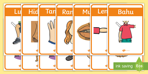 My Body Display Posters