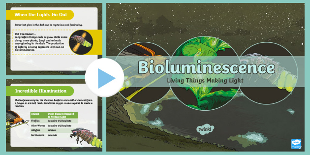 Bioluminescence PowerPoint (teacher made)