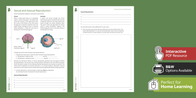 Sexual and Asexual Reproduction | GCSE Biology | Beyond