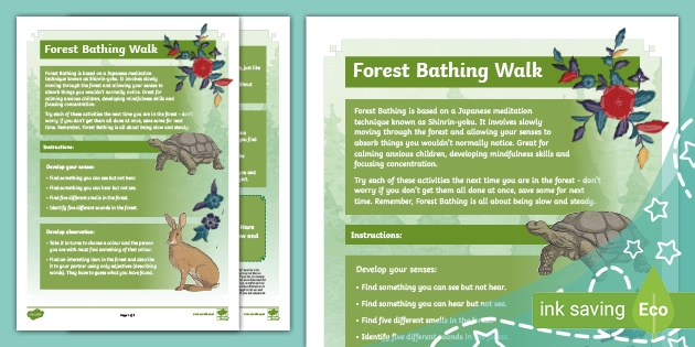 Forest Bathing Walk (teacher made)