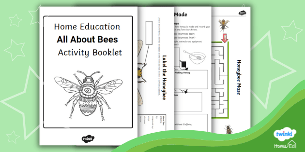 FREE! - Home Education All About Bees Activity Booklet