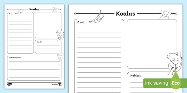 Koalas Fact File Template (teacher made)