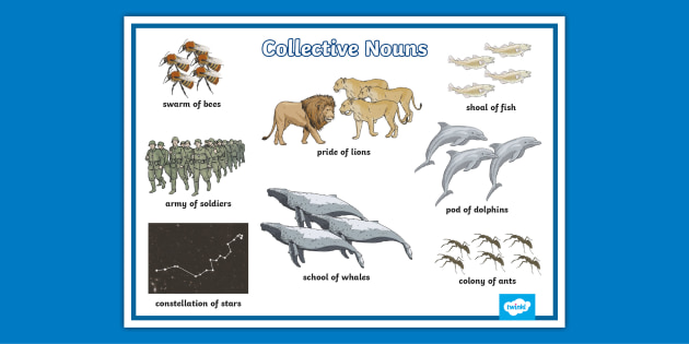 Flashcards Collective Nouns English Unite Collective Nouns Year 3