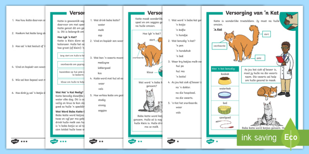 FREE! - Hoe Om n Kat te Versorg Gedifferensieerde Begripslees Aktiwiteit