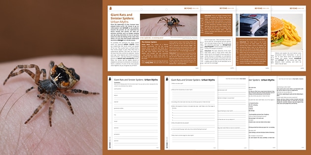 Beyond | Rats and Spiders Reading Comprehension Activity