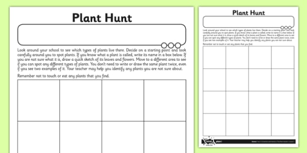 Plant Hunt Worksheet / Worksheet