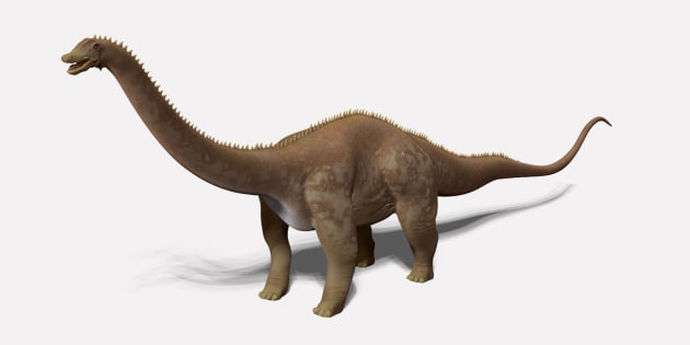 Diplodocus AR Quick Look