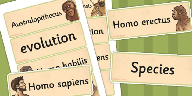 Human Evolution Word Cards (teacher made)