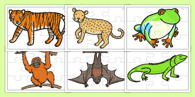 Jungle Animal Jigsaws (teacher made)