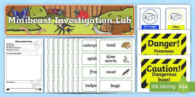 Cool Minibeasts Role-play Area Pack for kids | Twinkl Teach