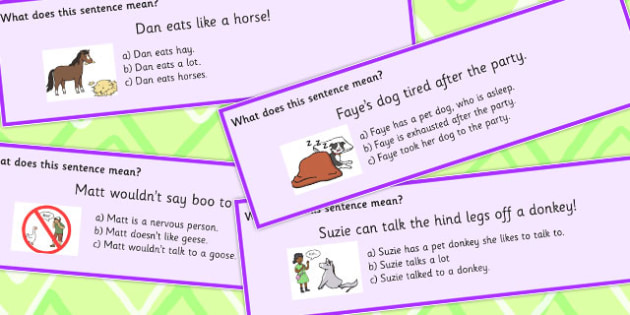 Animal Idioms Sentences Multiple Choice Set 3 (teacher made)