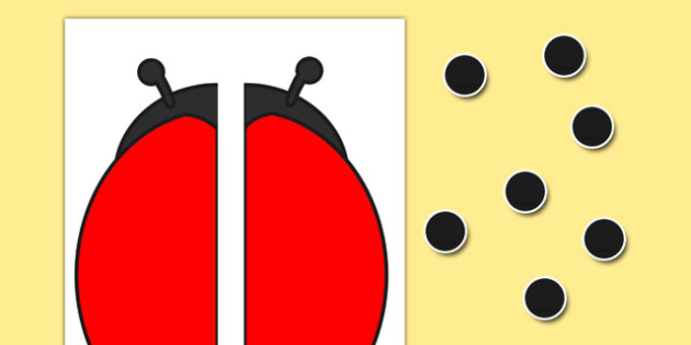 Blank Ladybird Number Bonds Activity (teacher made)