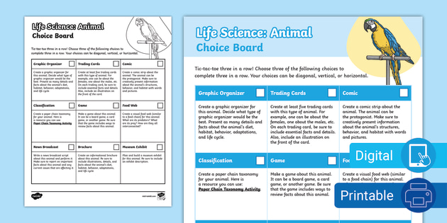 Life Science: Animal Choice Board (teacher made)