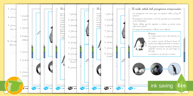 Comprensión lectora de atención a la diversidad: El ciclo vital del ...