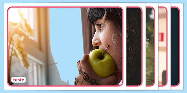 The Five Senses Display Photos (teacher made)