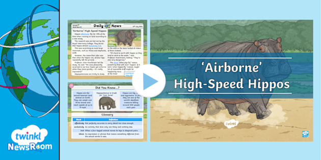 Simple Animals Activities | twinkl.co.uk