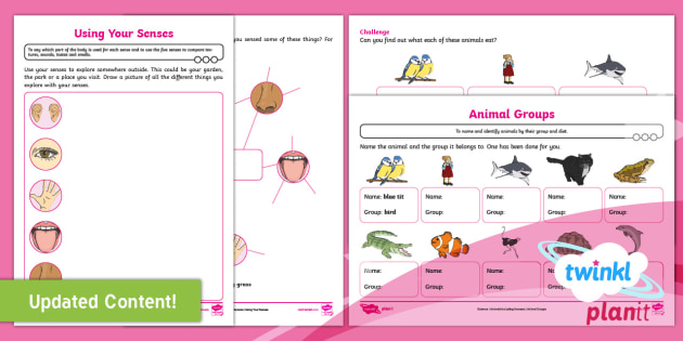 PlanIt: Animals Including Humans: Sorting Animals Year 1 Lesson 6