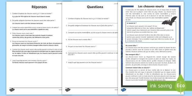 Compréhension écrite différenciée : Les chauves souris
