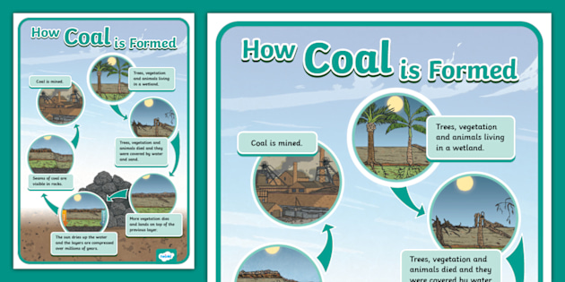 How Coal Is Formed The New Form Of Thermal Power That Operates Stably