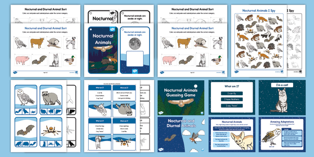 Nocturnal Animals Activity Pack (teacher made)