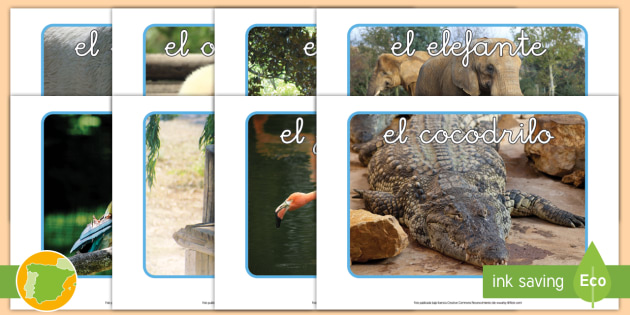 Fotos de exposición: Los animales salvajes (teacher made)