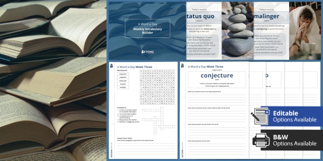 Word of The Day Vocabulary Building Exercises (3) | Beyond