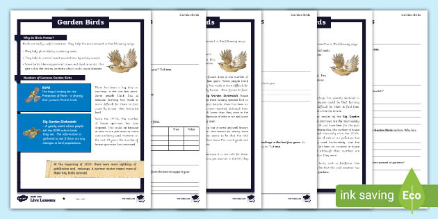 KS2 Garden Birds Differentiated Reading Comprehension Activity