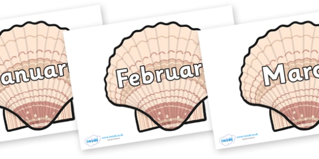 Months of the Year on Seashells (teacher made)
