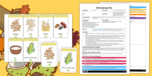 Sorting Harvest Grains EYFS Adult Input Plan and Resource Pack - harvest