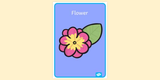 FREE! - Large Flower Poster Display Poster | Primary Resources