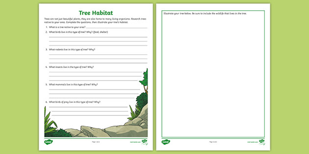 Tree Habitat Research Activity | 3rd - 5th Grade | Twinkl